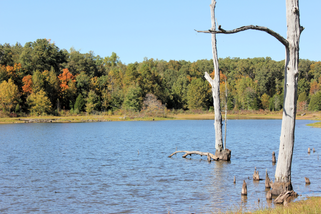 duncan-lake-2 - Four Rivers Explorer